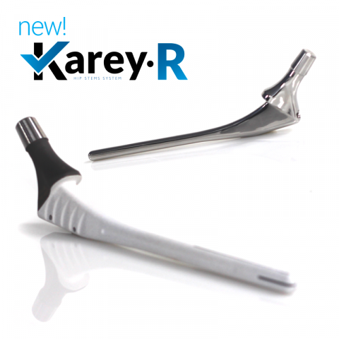 Hip Implants and Prostheses | Surgival